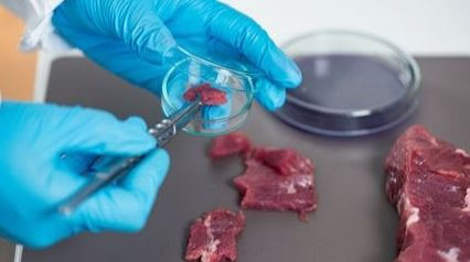 Free BRC Audit Checklist & Template | PDF | SafetyCulture