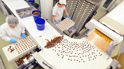 Free Food Defense Plan Template | PDF | SafetyCulture