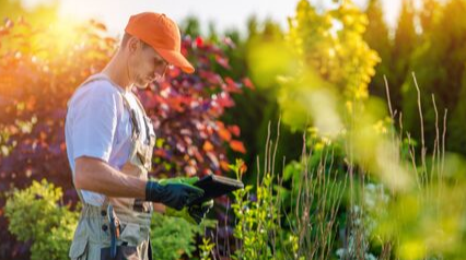 Free Landscaping Maintenance Checklists | PDF | SafetyCulture