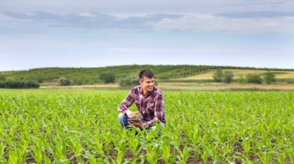 How to Create an Organic System Plan | PDF | SafetyCulture