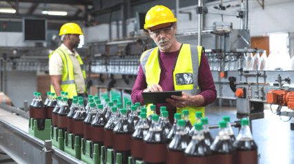 Free Visual Inspection Checklist | PDF | SafetyCulture