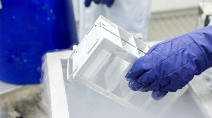 Pharmaceutical Cold Chain Management: A Guide | SafetyCulture