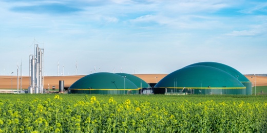 A Brief Guide to Biomass Energy | SafetyCulture