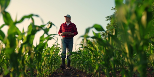 A Comprehensive Guide to Farm Management | SafetyCulture